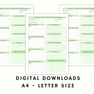 Daily Self Reflection Template, Reflection Daily Journal Notes, Daily ...