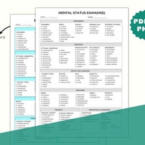 Mental Status Exam, MSE Reports Worksheet, MSE Observations for Patient ...