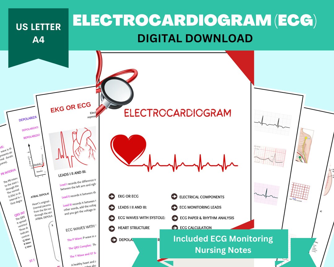 Ekg Ecg Bundle, 2025 Electrocardiogram, Cardiac, EKG Interpretation, EKG Study Guide for Nursing ...