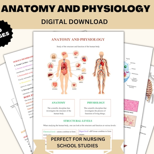 Anatomy and Physiology Notes Anatomy Study Guide Nursing - Etsy