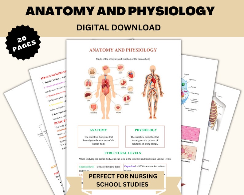 Anatomy and Physiology Notes Anatomy Study Guide Nursing - Etsy