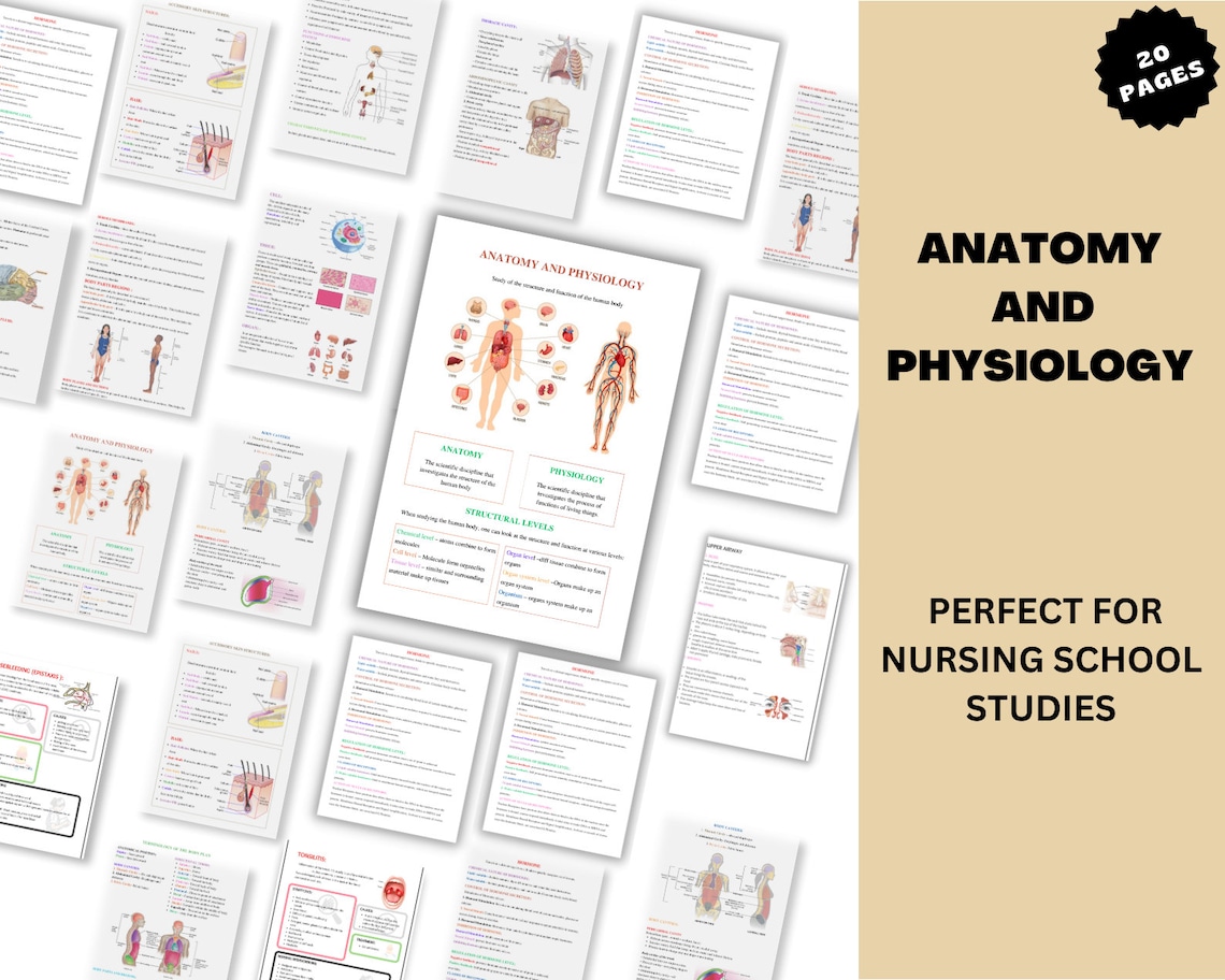 Anatomy and Physiology Notes, Anatomy Study Guide, Nursing Students ...