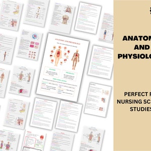 Anatomy and Physiology Notes, Anatomy Study Guide, Nursing Students ...