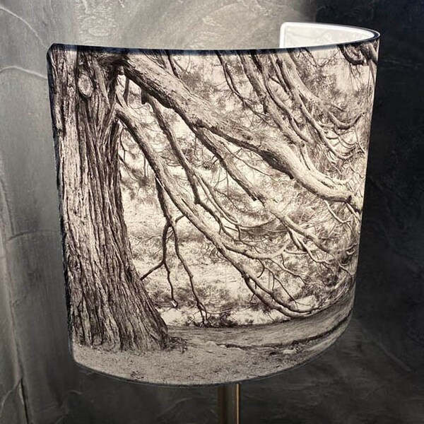 Tree Lampshade - Etsy