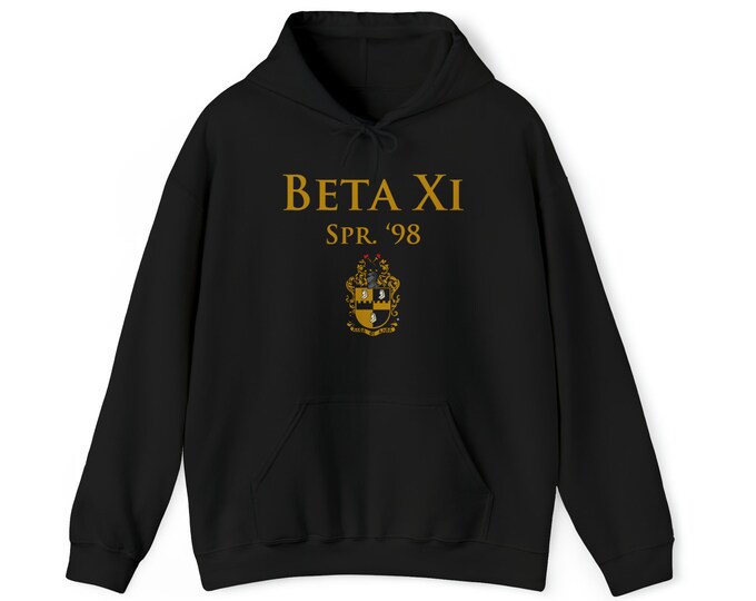 Custom Alpha Phi Alpha Hoodie, Custom Greek Chapter Hoodie ...