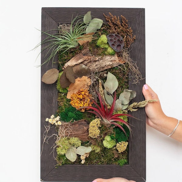 Moss Frame - Etsy