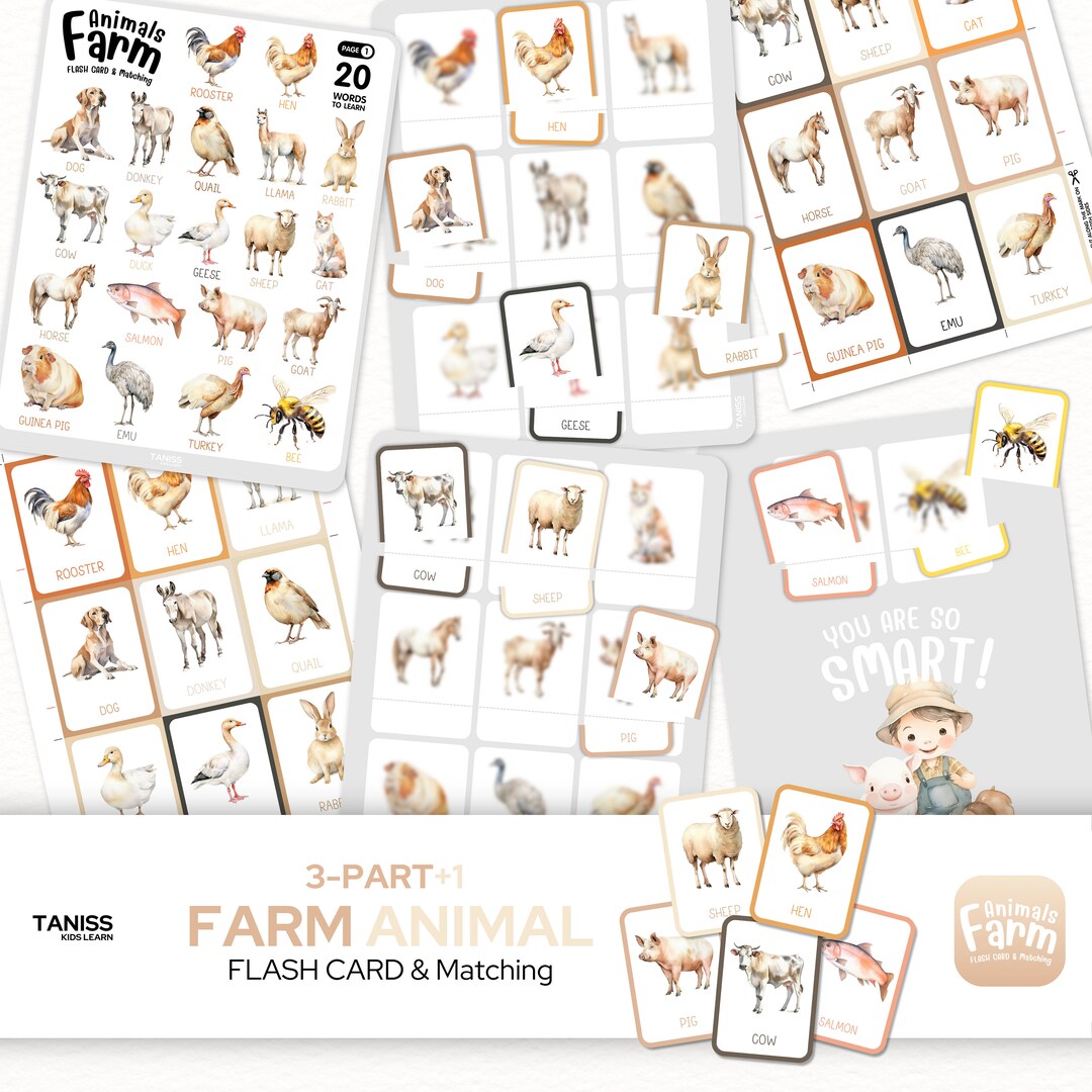 Farm Animal Flash Cards & Matching Picture – Montessori-inspired ...