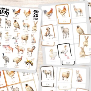 Farm Animal Flash Cards & Matching Picture – Montessori-inspired ...