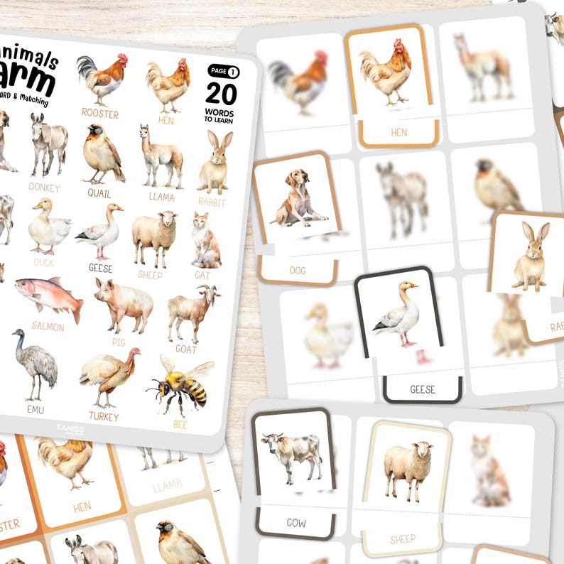 Farm Animal Flash Cards & Matching Picture – Montessori-inspired ...