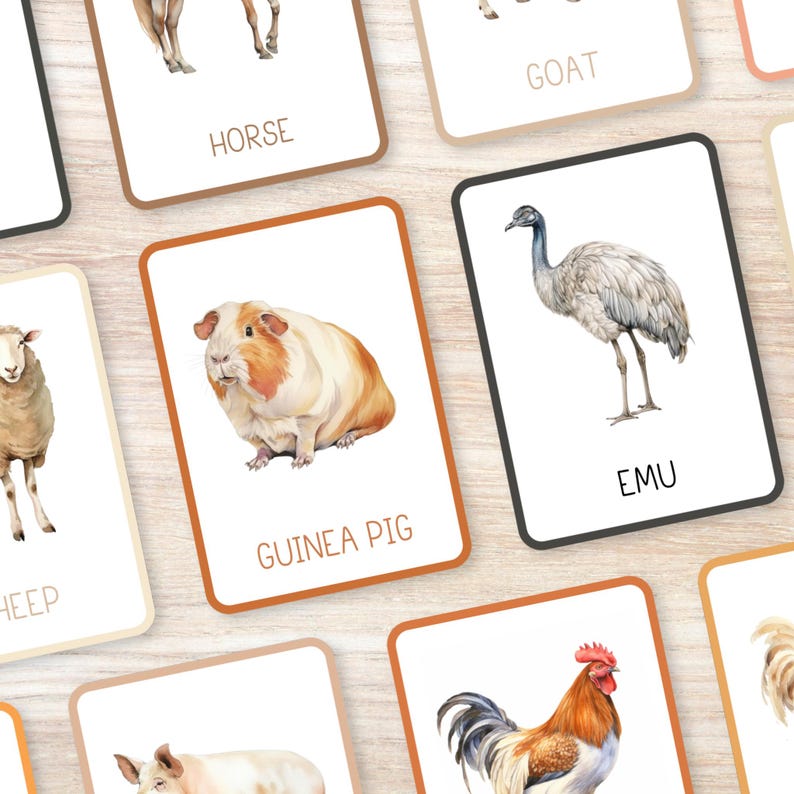 20 Farm Animal Flash Cards – Montessori-inspired 3-part Printable ...