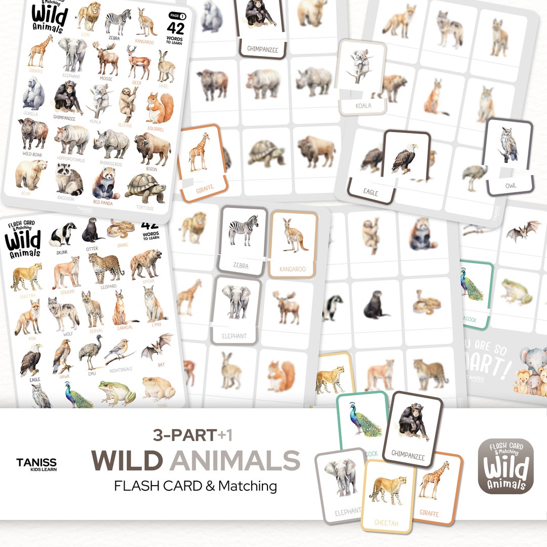 Wild Animals Flash Cards & Matching Picture – Montessori Printable ...