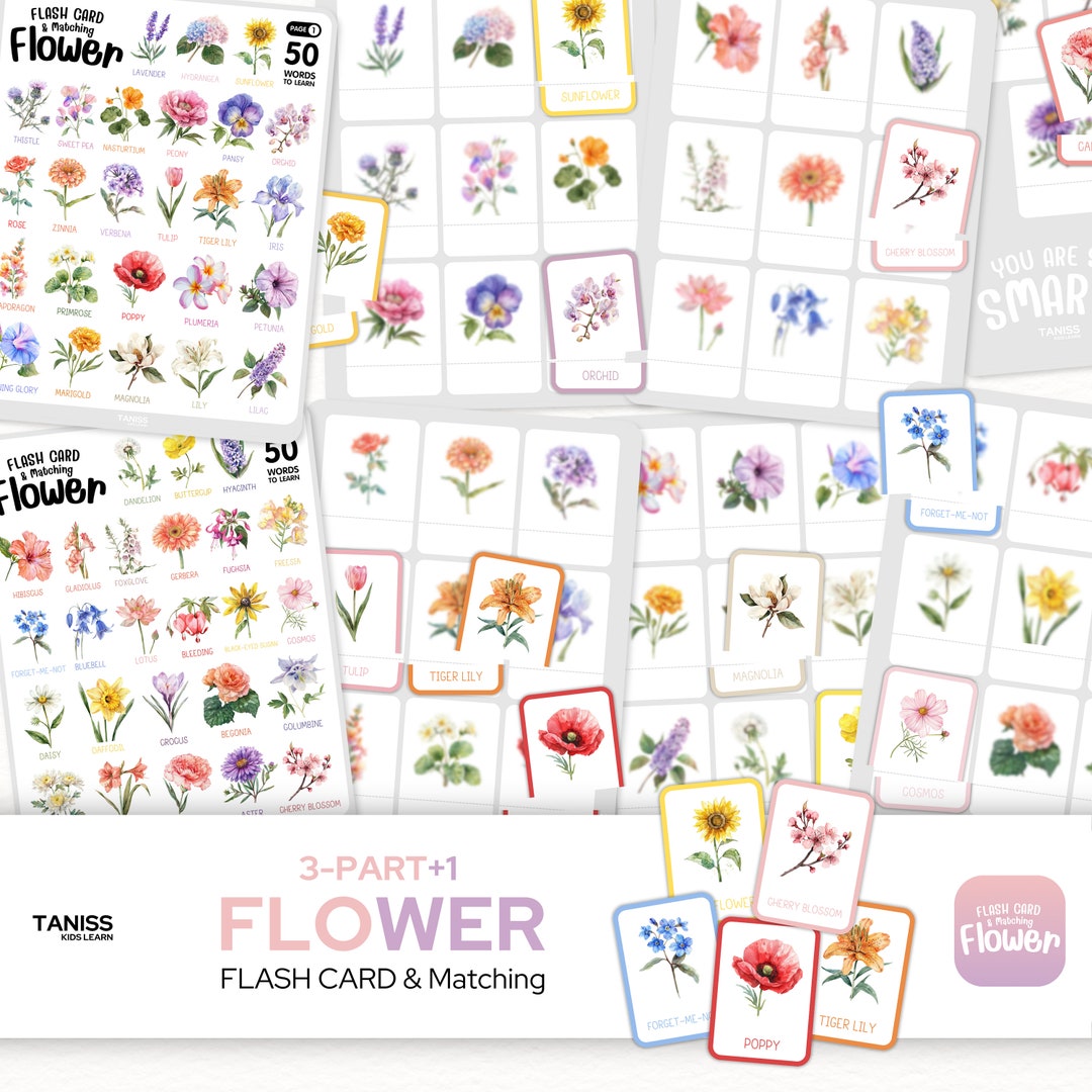 Flower Flash Cards & Matching Picture – Montessori-inspired Printable ...