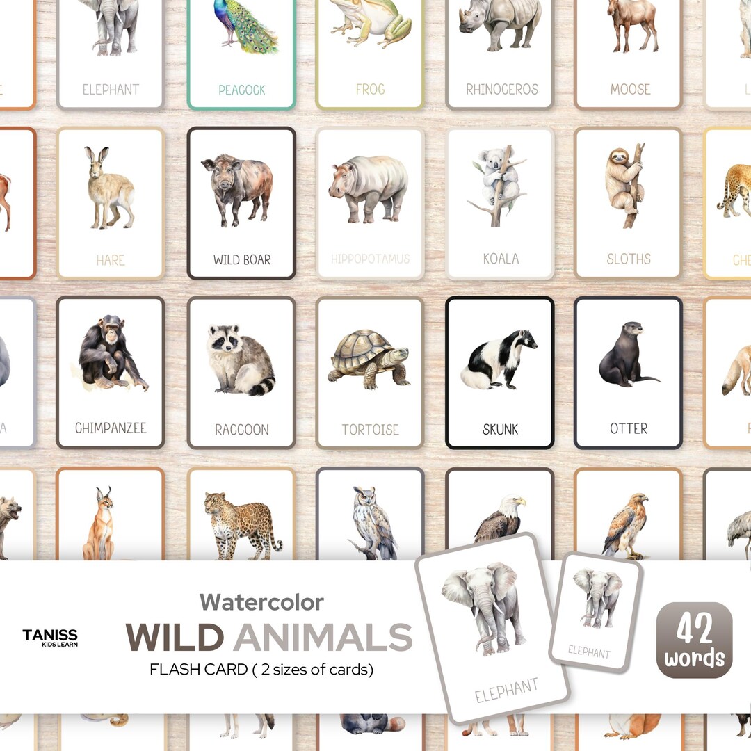 42 Wild Animals Flash Cards – Montessori-inspired 3-part Learning Game ...