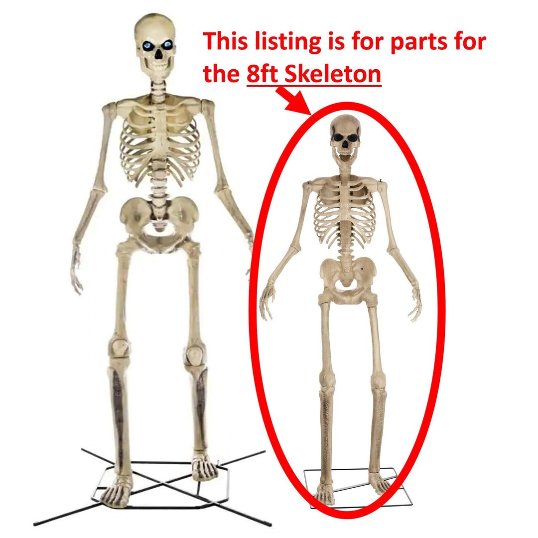 8 Foot Skeleton Arm Head Bracket Adapter Replacement From Best Buy ...