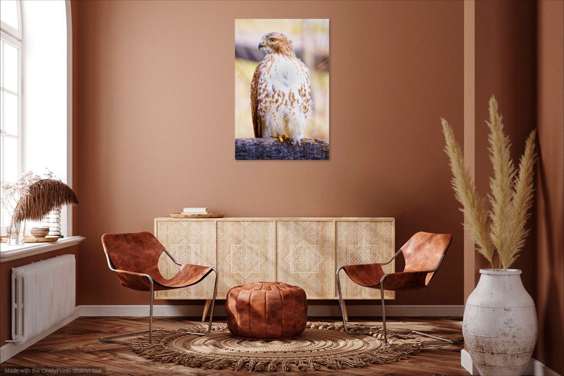 Majestic Red Tailed Hawk Photography Print | Wildlife Photography ...