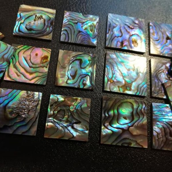Abalone Blank - Etsy