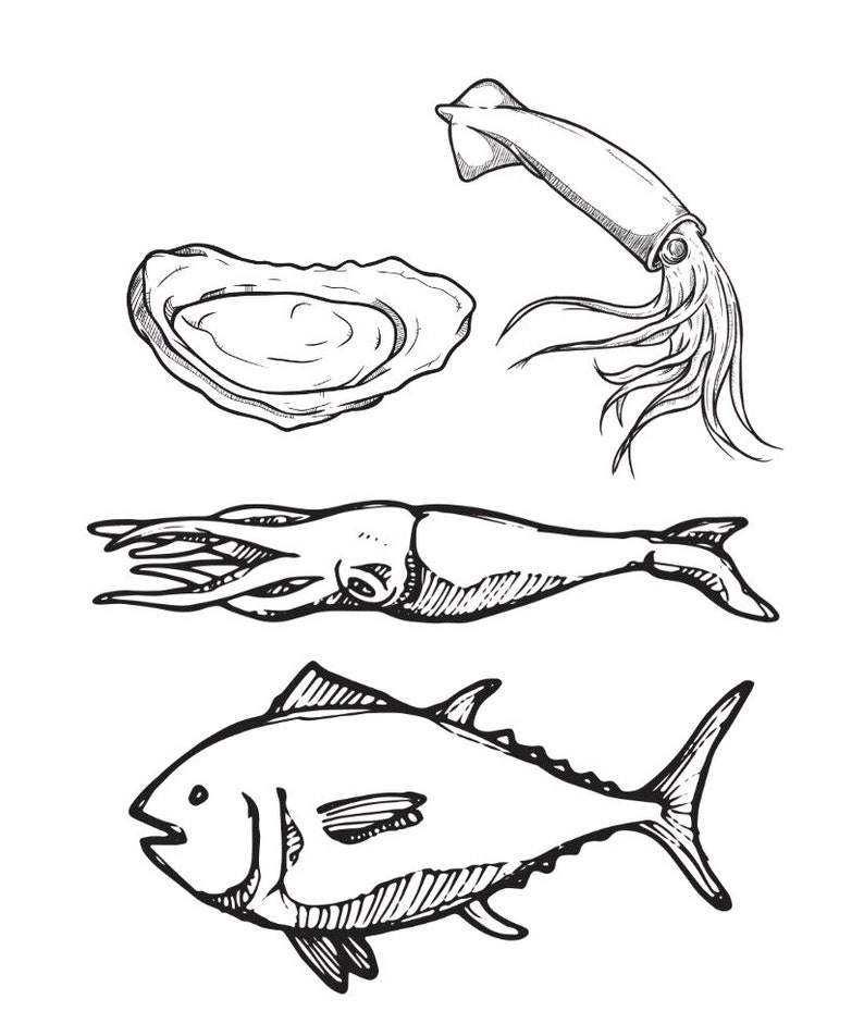 I Love Animals & Creatures 80 Coloring Pages - Etsy