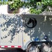 Horse Head Decal Circle Vinyl Decal Bumper Sticker Equestrian Rider ...