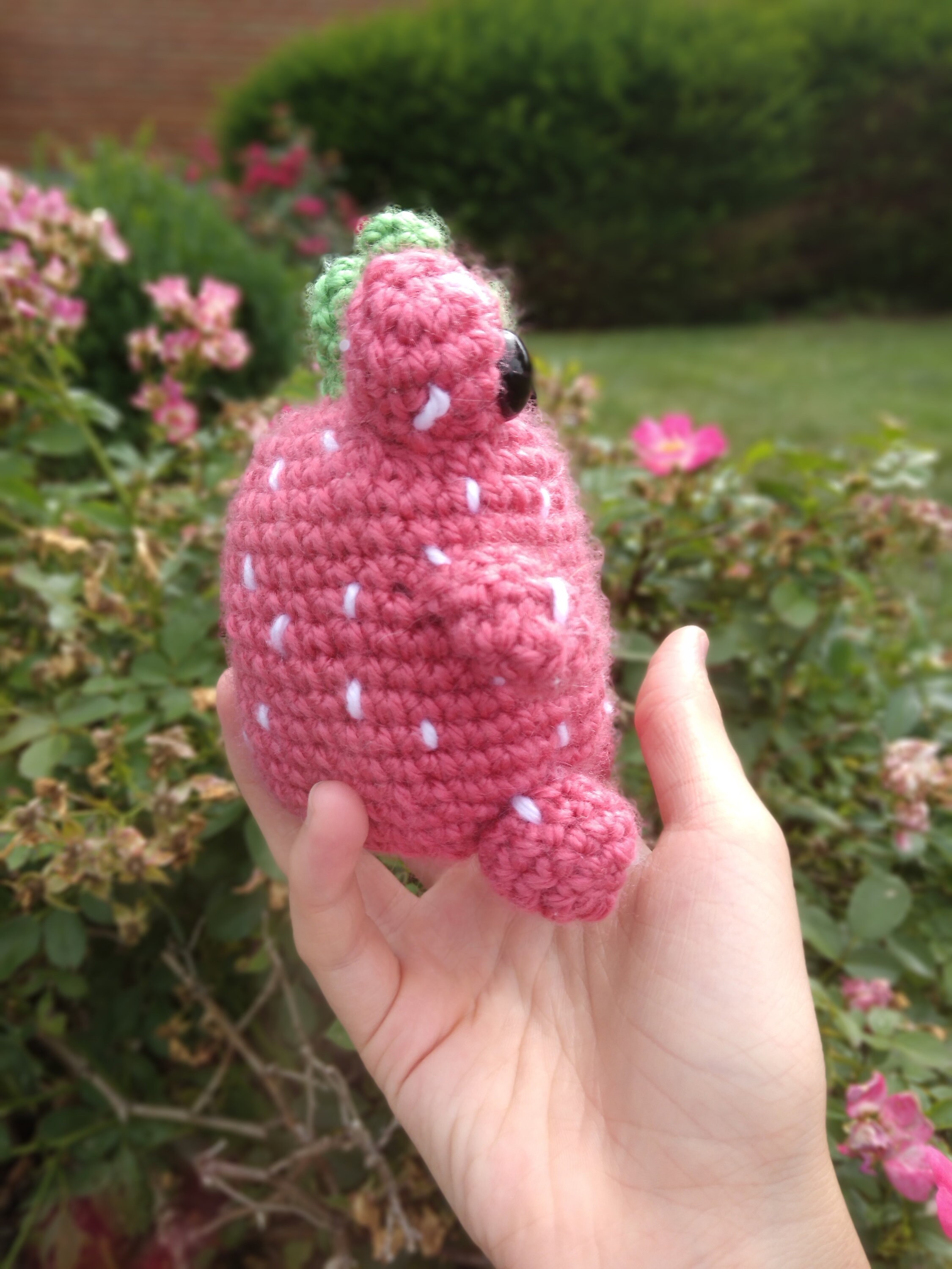 Crochet Strawberry Frog, Amigurumi Strawberry Frog, Cute Crochet ...