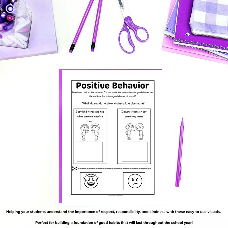 Classroom Expectations Visuals & Worksheets: Positive Behavior (digital ...