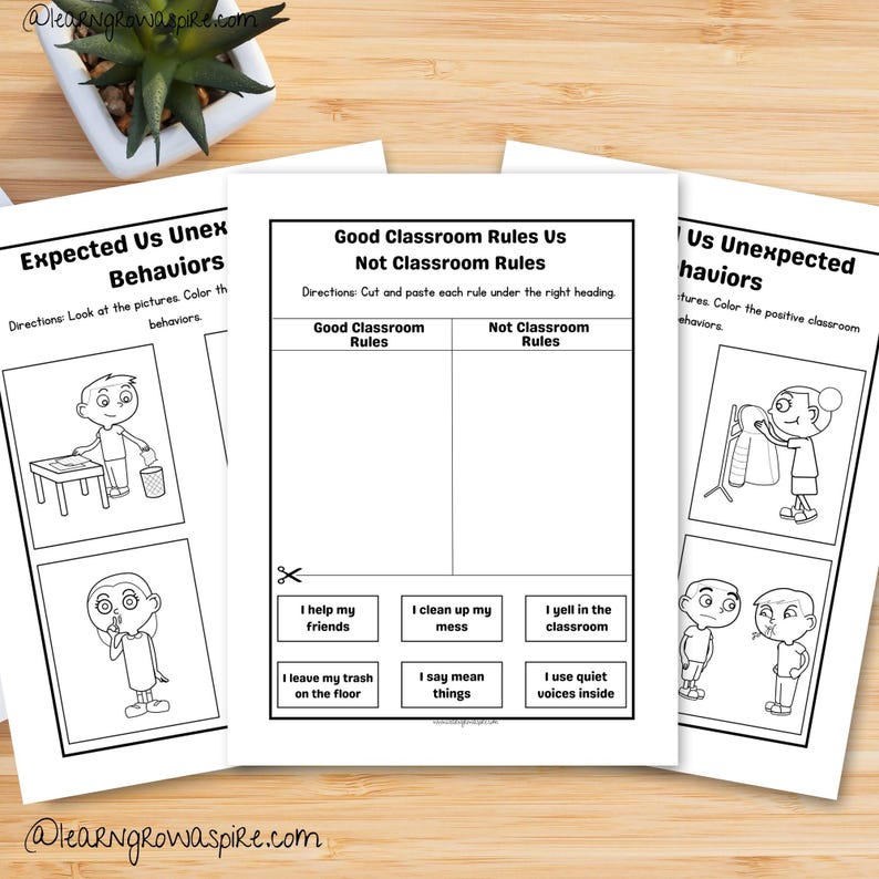 Classroom Expectations Visuals & Worksheets: Positive Behavior (digital ...