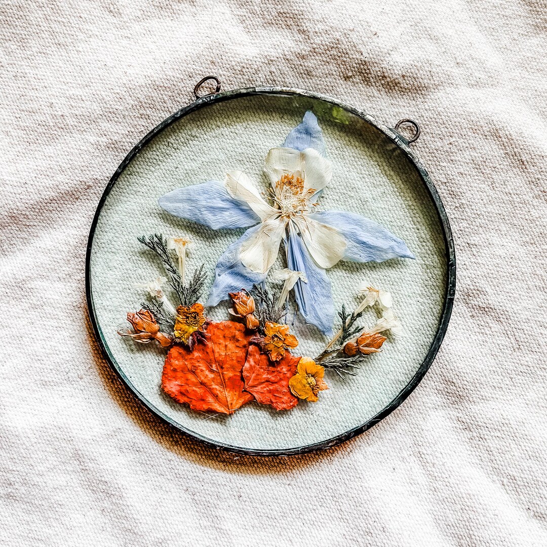 Vintage Pressed Iris Flower Floating Frame Art / Pressed Flower Art ...