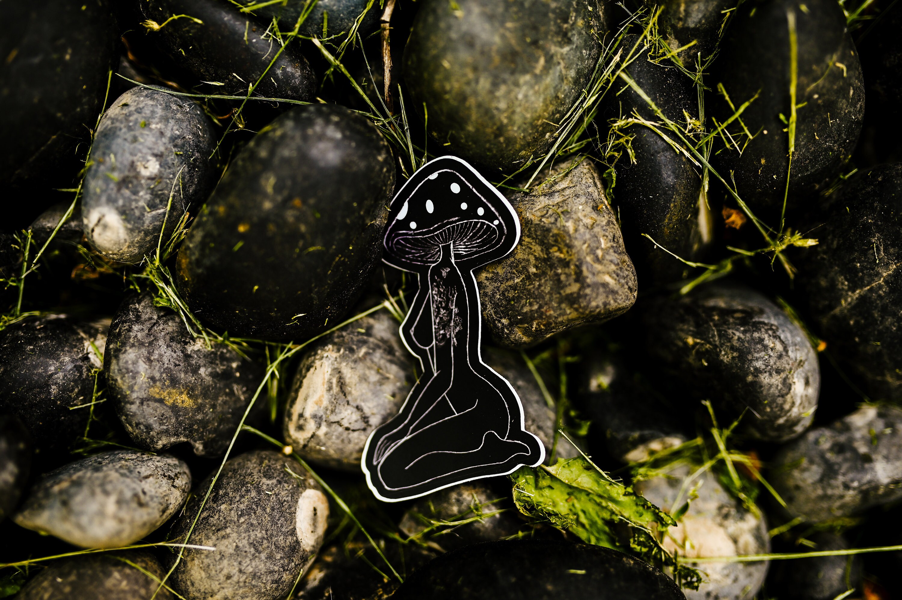 Mushroom Head Girl Die Cut Sticker, Vinyl Sticker, Mushrooms, Cute - Etsy