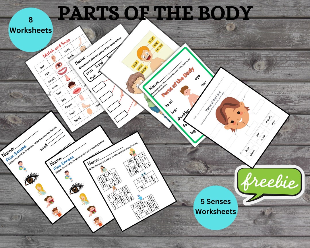 Body Parts Printable Worksheets and 5 Senses Digital Printable ...