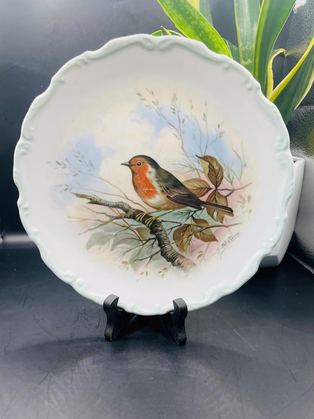 Royal Woodland Robin Plate by A. Johnson – Vintage Bird Collectors ...