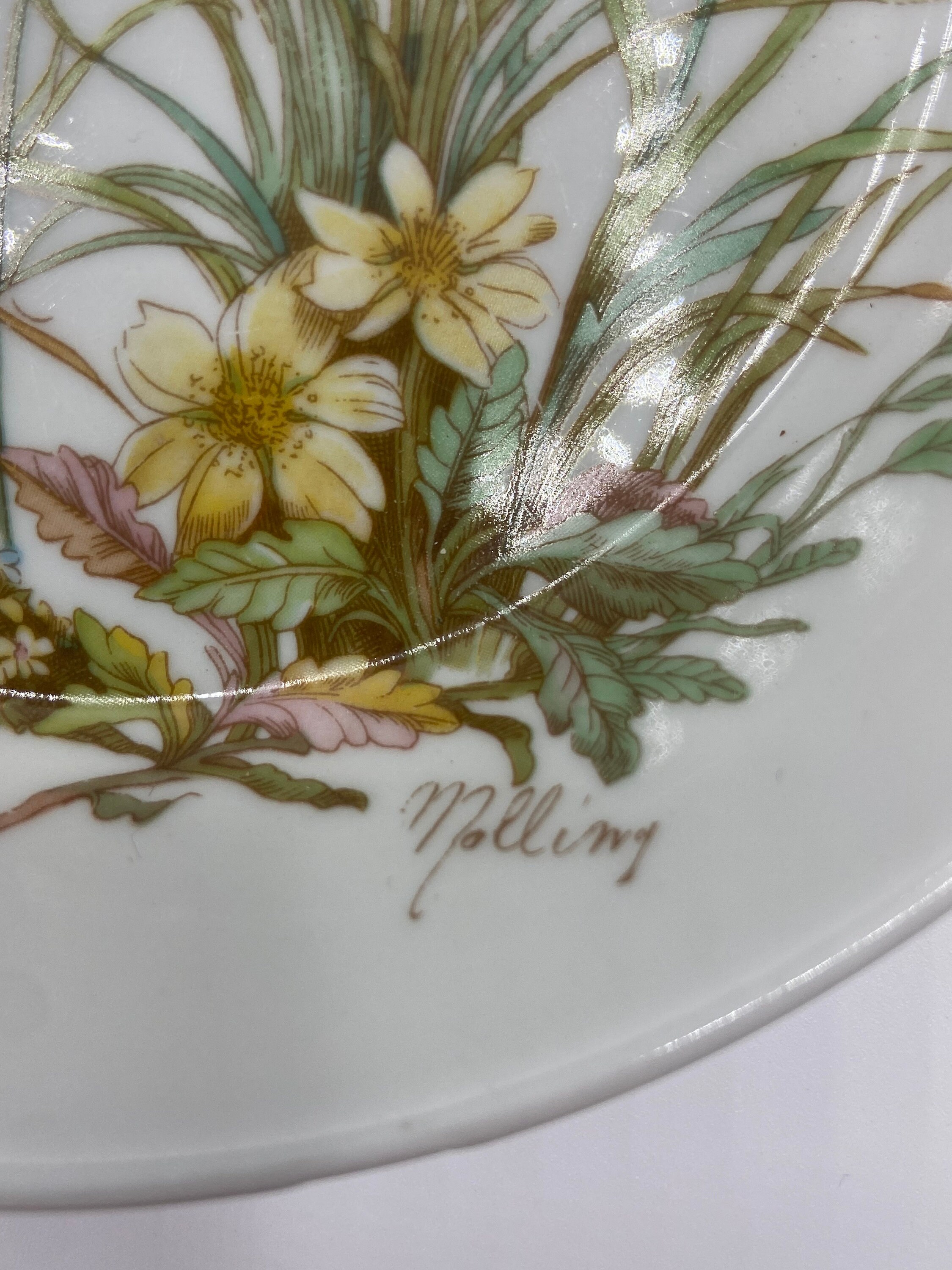 French Pillivuyt molling Botanical Gratin Dish - Etsy UK