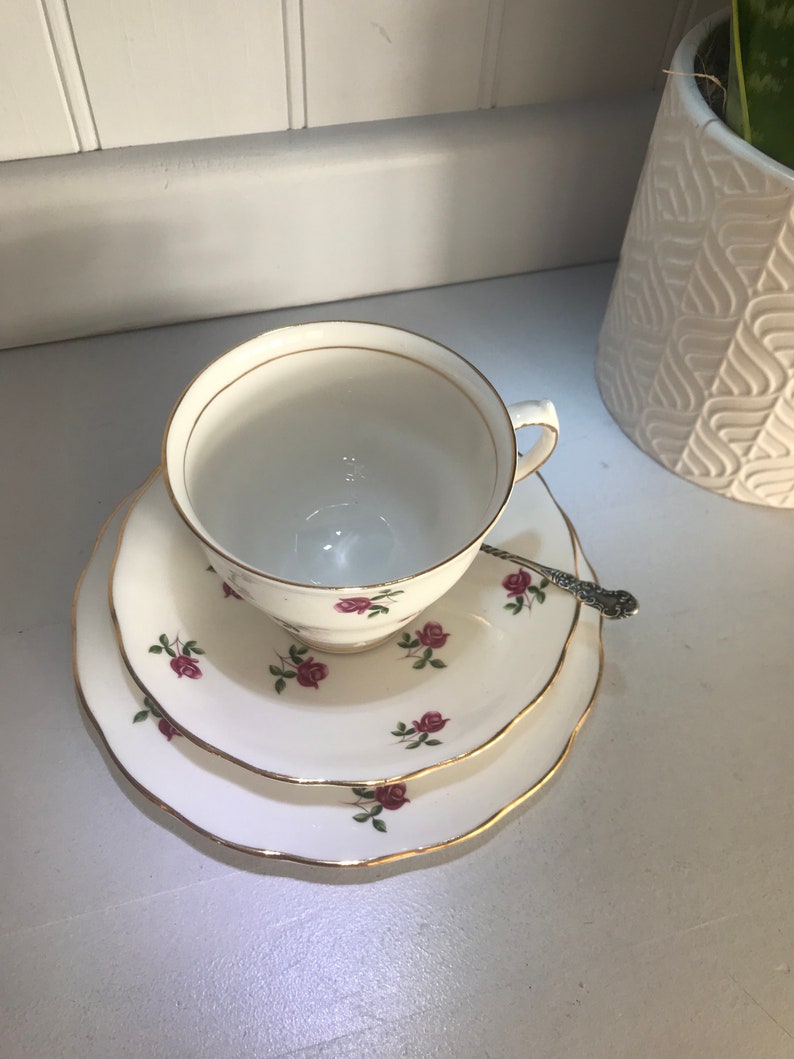 Bone China Trio. Ridgway Potteries Colclough - Etsy 日本