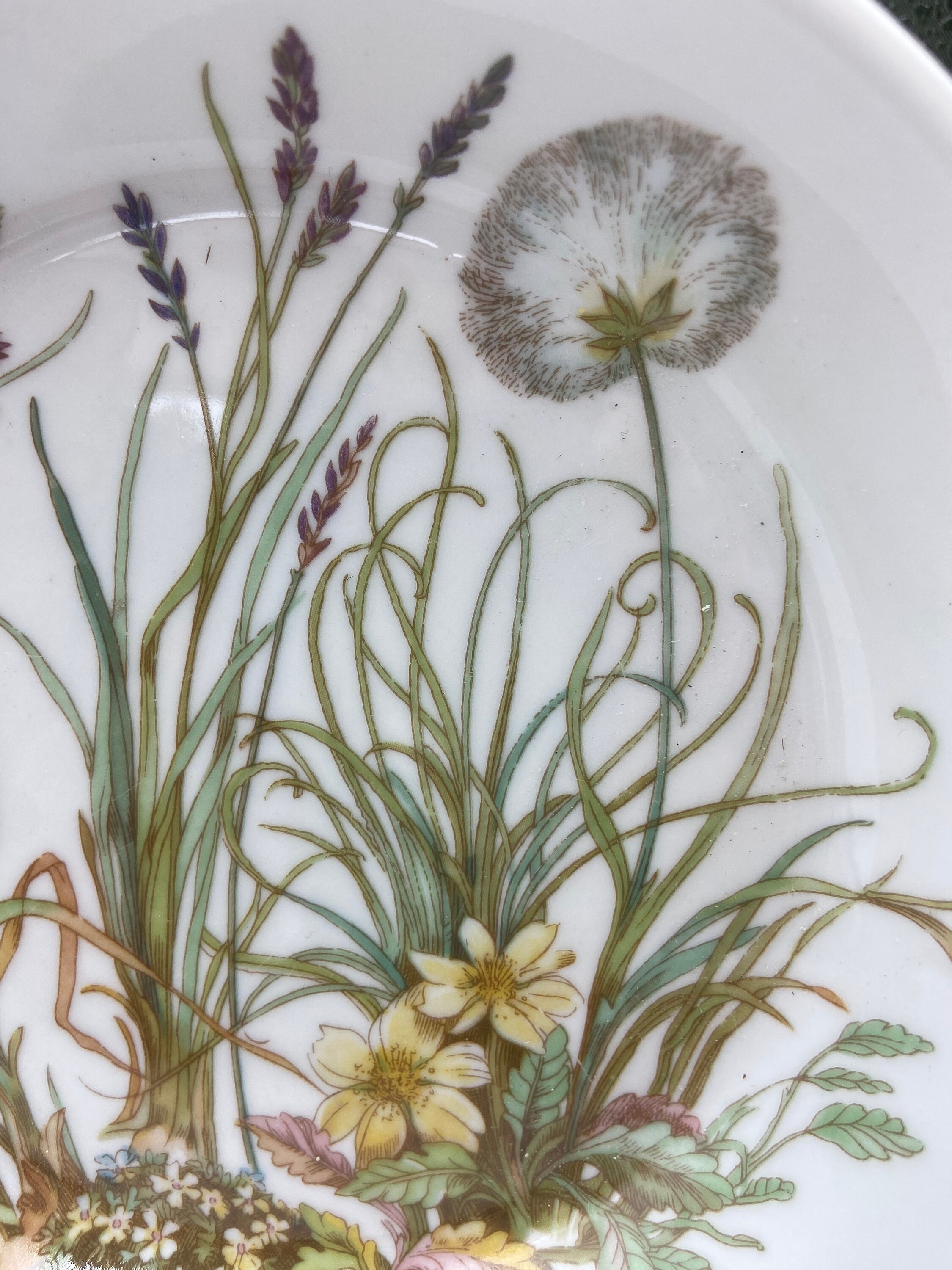 French Pillivuyt molling Botanical Gratin Dish - Etsy UK