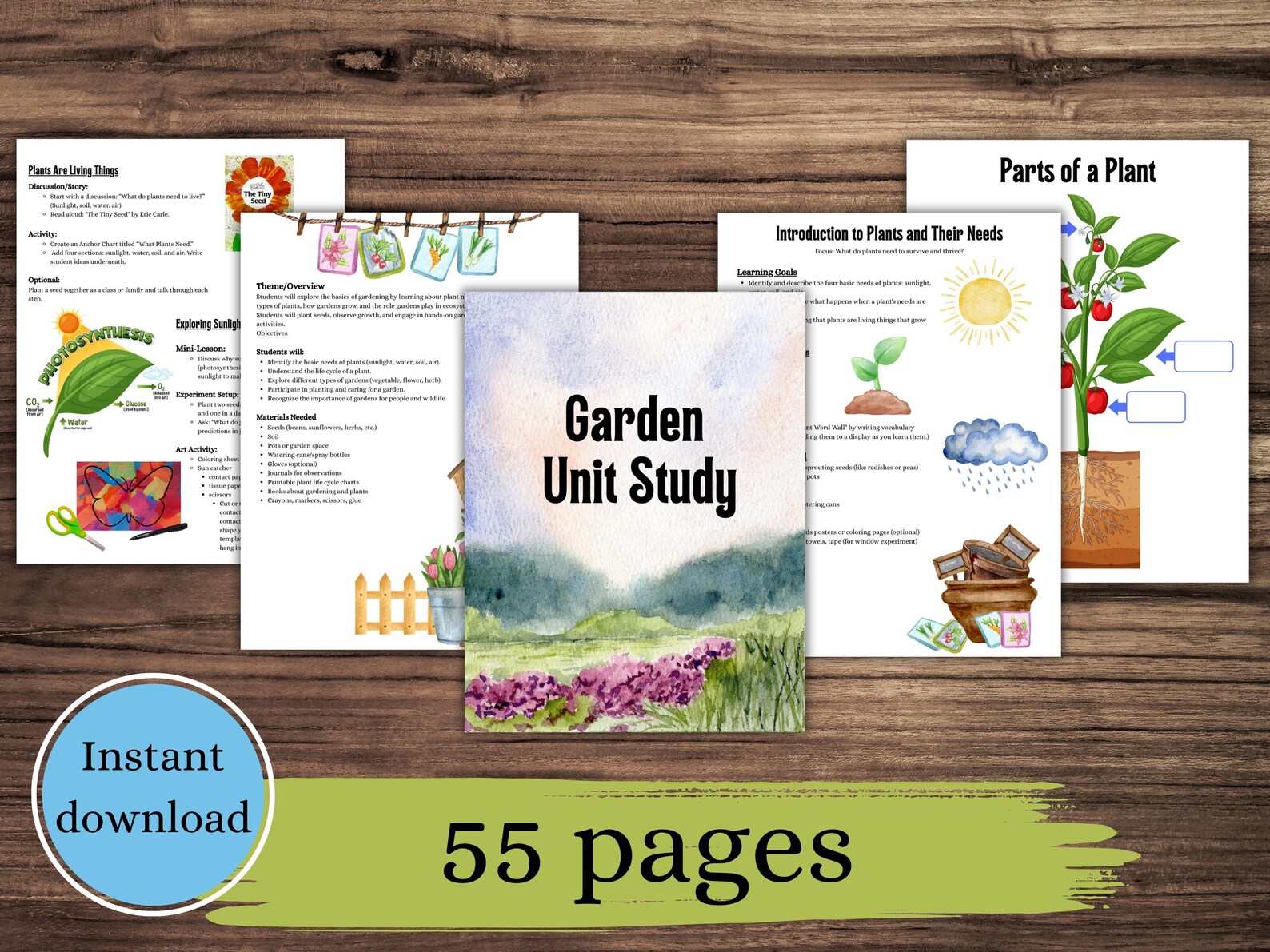 Gardening Unit Study: Plant Life Cycle, Homeschool Science (digital ...