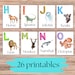 Watercolor Animal ABC Flashcards: Homeschool & Preschool (digital ...