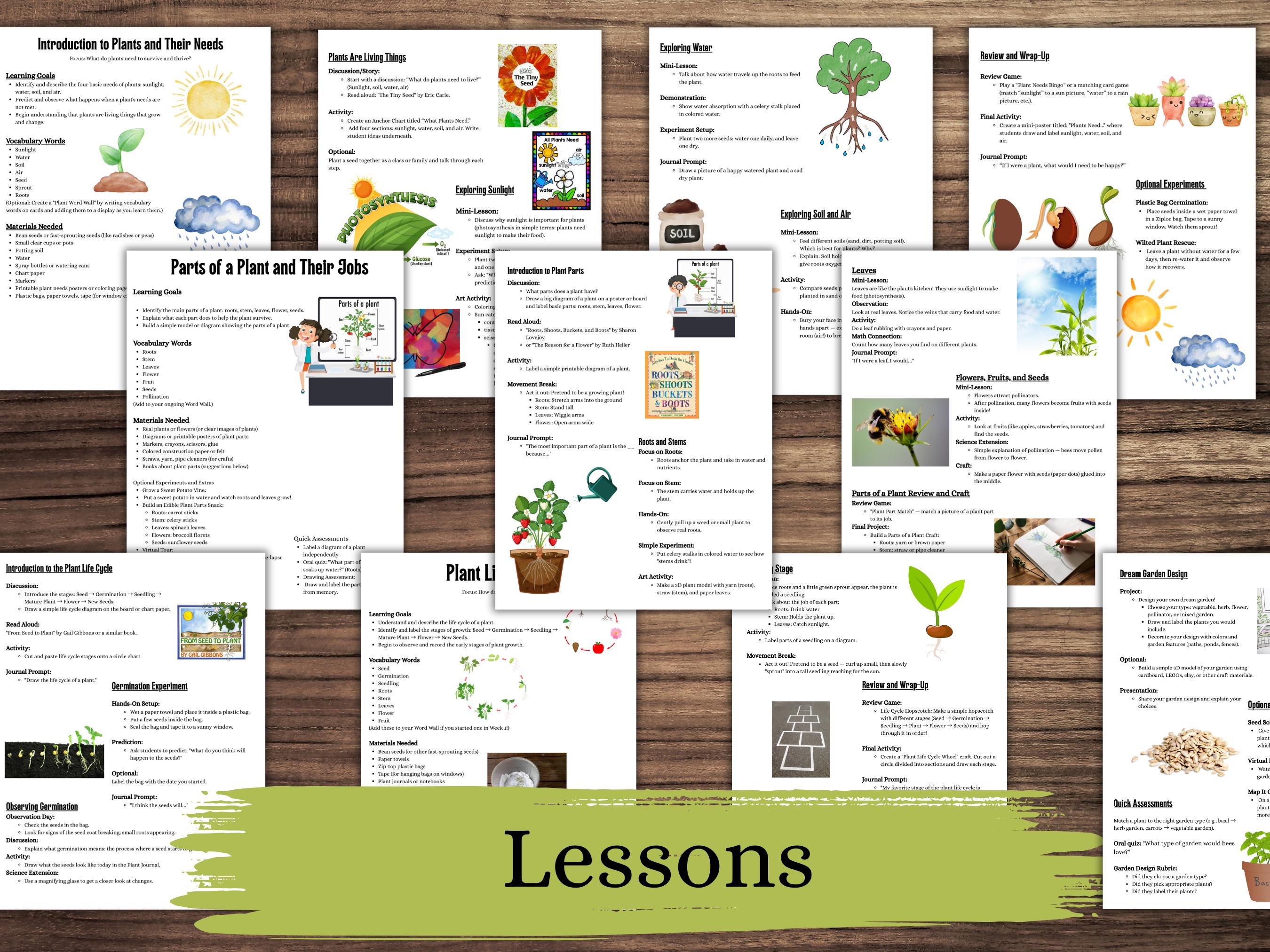 Gardening Unit Study: Plant Life Cycle, Homeschool Science (digital ...