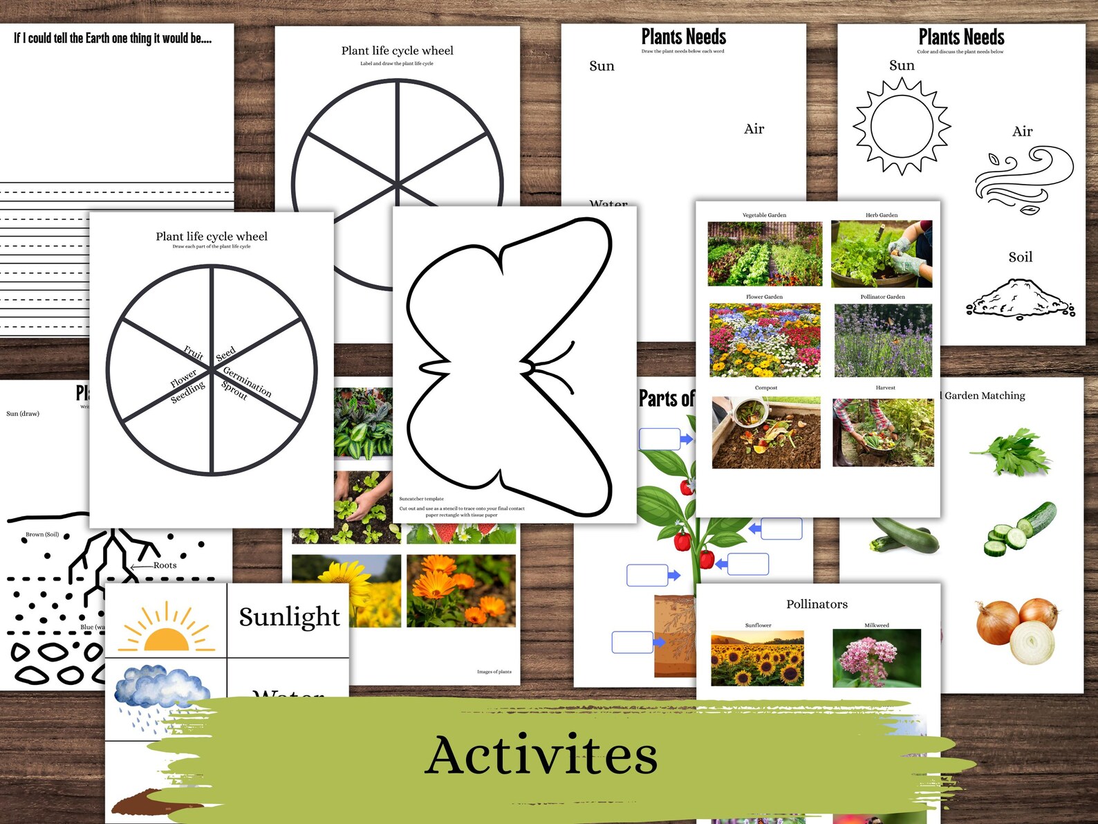 Gardening Unit Study: Plant Life Cycle, Homeschool Science (digital ...
