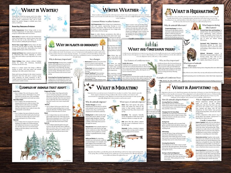 Winter Unit Study: Homeschool Curriculum (digital Download) - Etsy