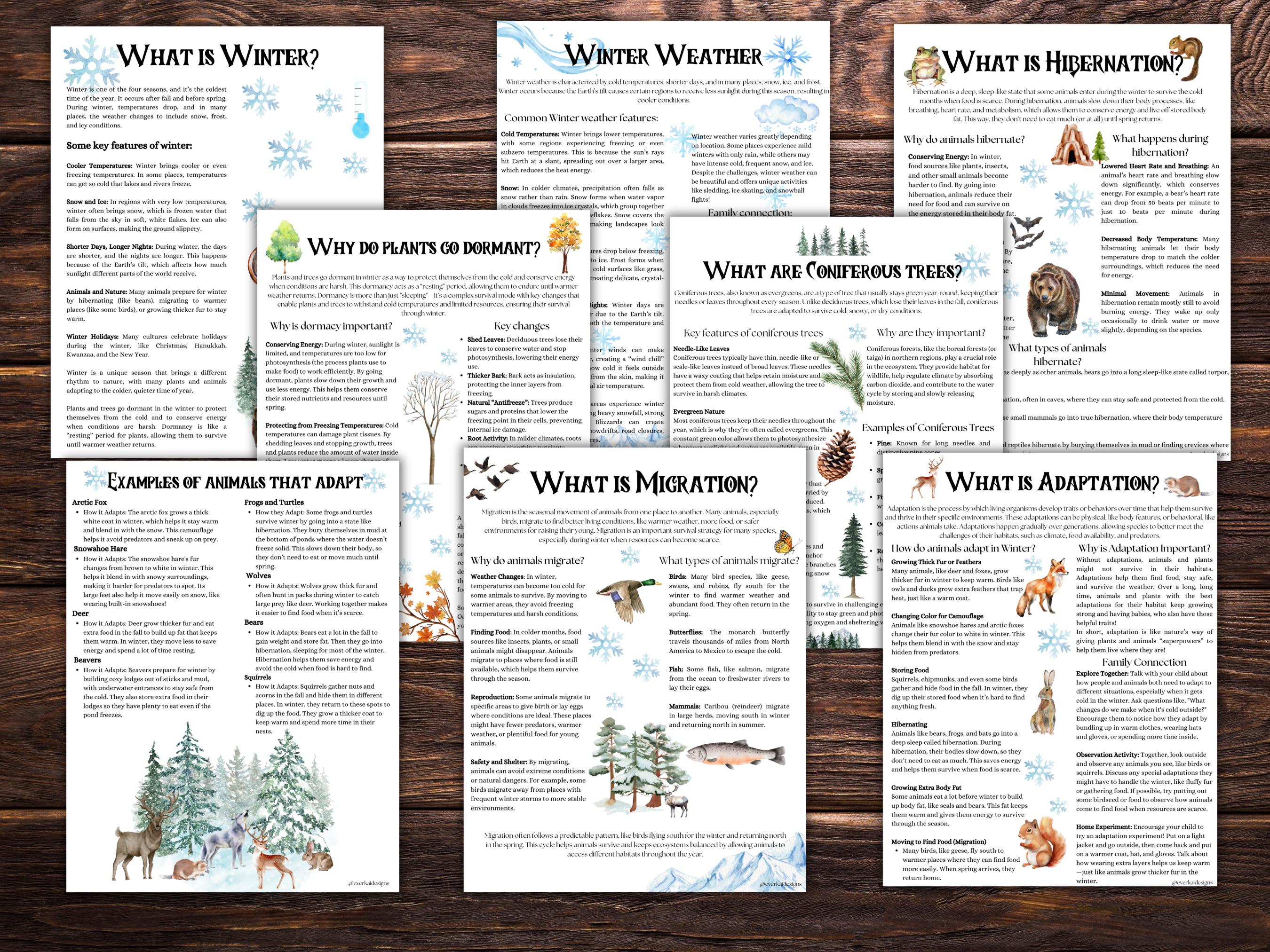 Winter Unit Study: Homeschool Curriculum (digital Download) - Etsy
