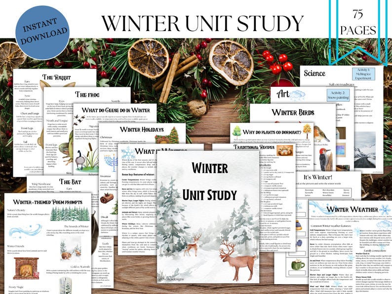 Winter Unit Study: Homeschool Curriculum (digital Download) - Etsy