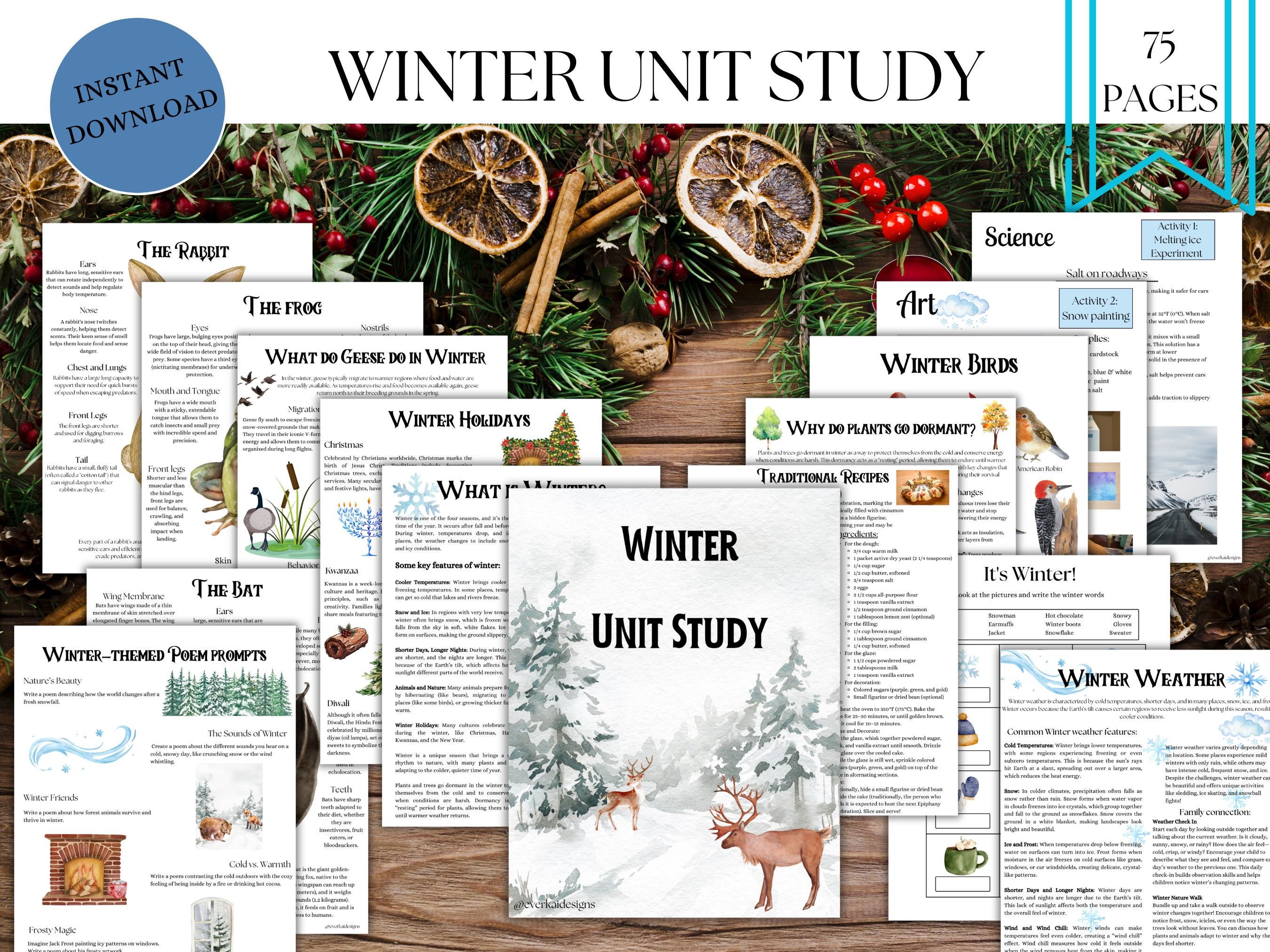 Winter Unit Study: Homeschool Curriculum (digital Download) - Etsy