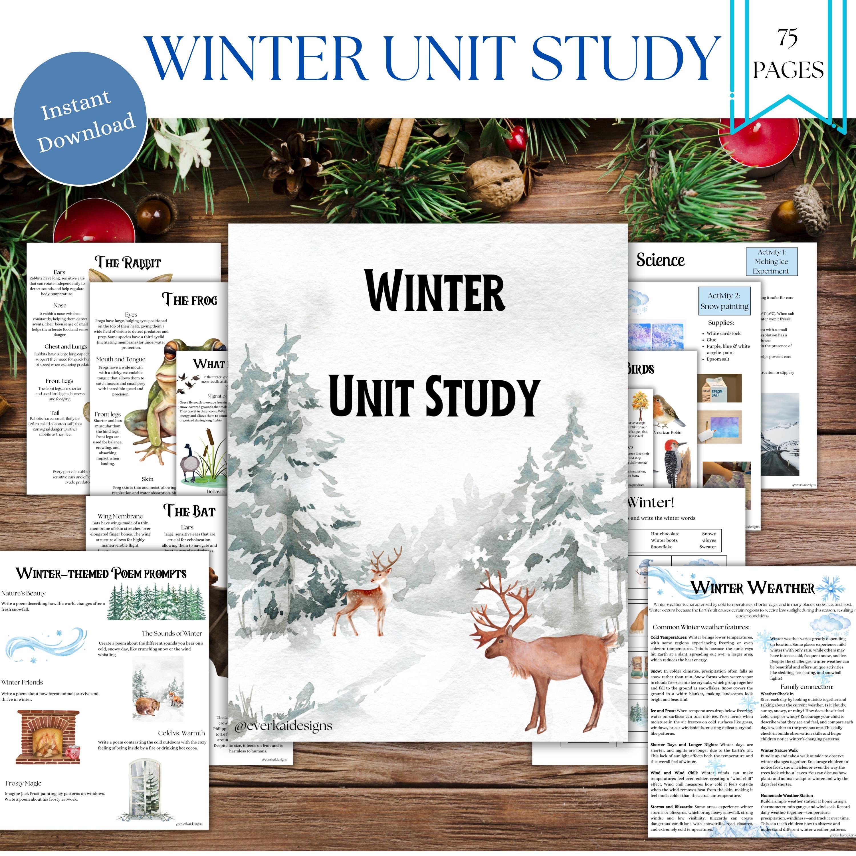 Winter Unit Study: Homeschool Curriculum (digital Download) - Etsy