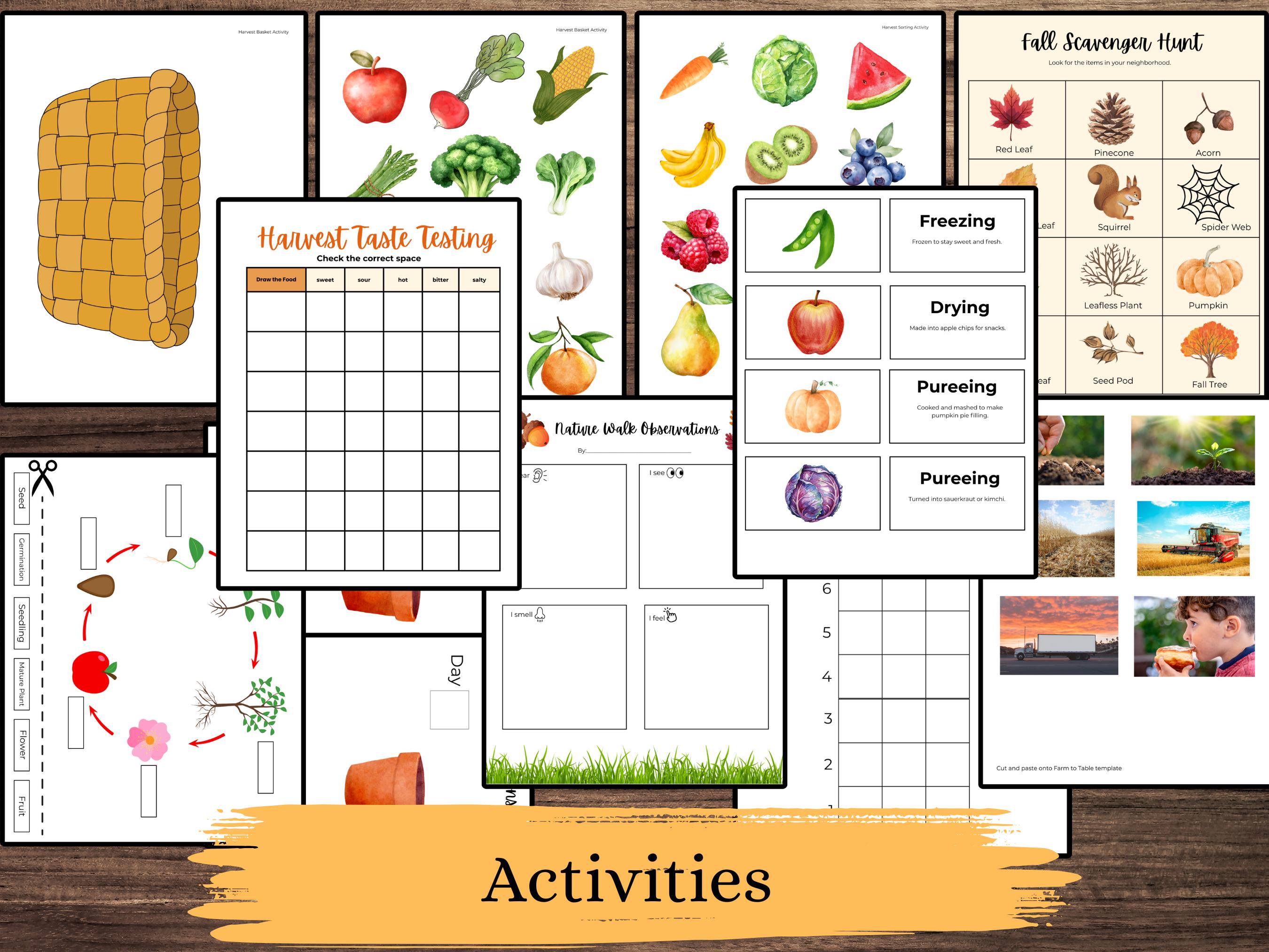 Harvest Science Unit Study | K-3 Homeschool Curriculum (printable PDF ...
