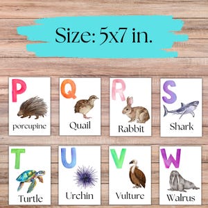 Animal Alphabet Flashcards ABC Flashcards Homeschool Preschool Alphabet ...