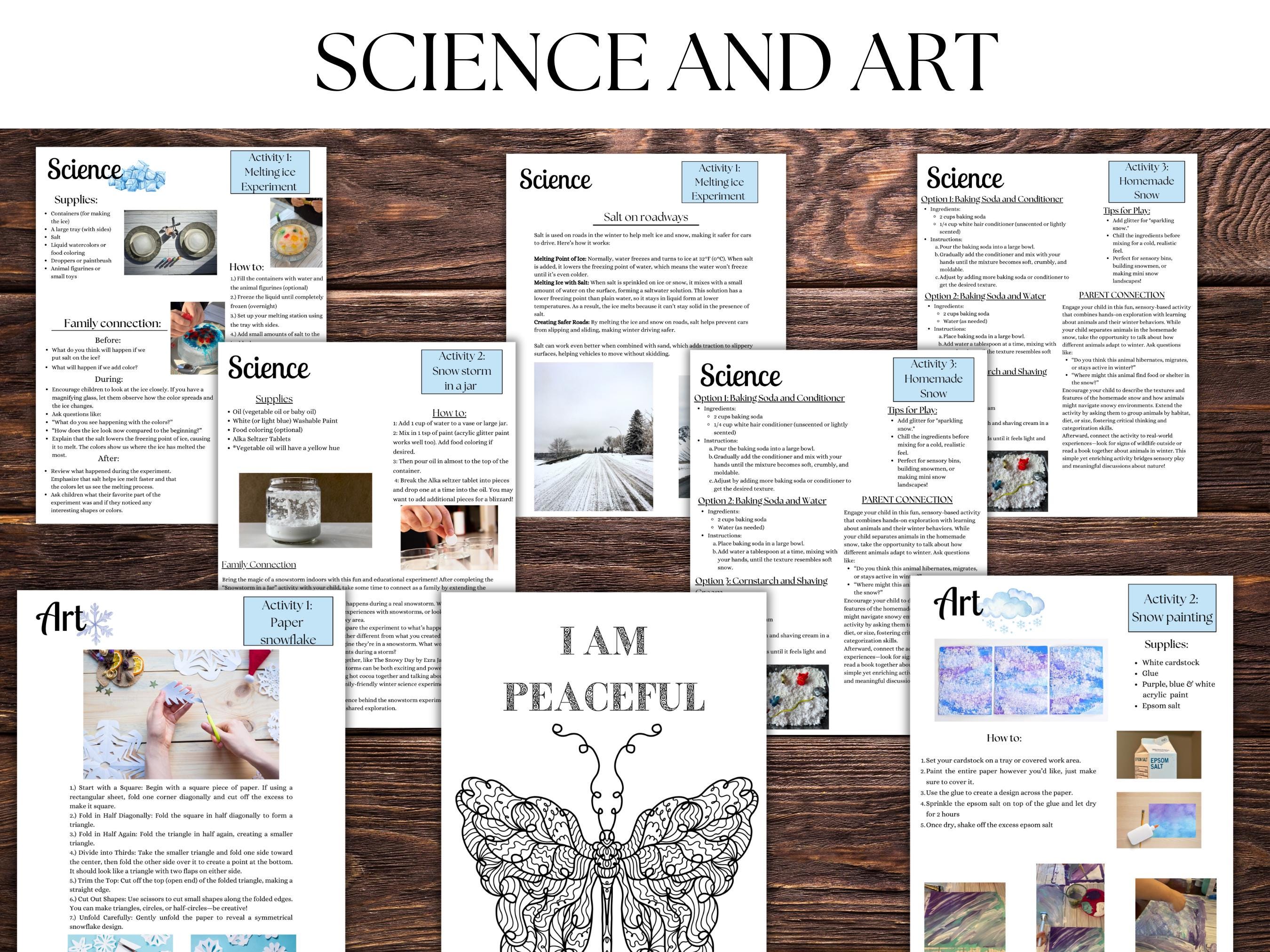 Winter Unit Study: Homeschool Curriculum (digital Download) - Etsy
