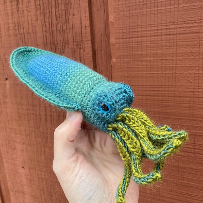 Cuttlefish - Etsy