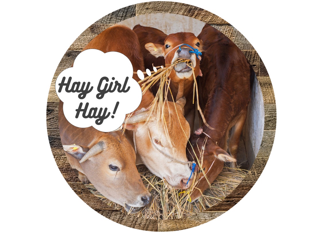 Hay Girl Hay Cow Sign, Cows Eating Straw Farmhouse Sign, Life on the ...