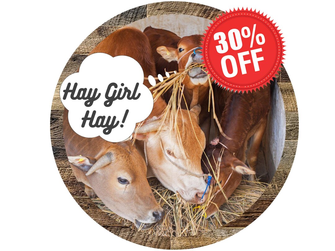 Hay Girl Hay Cow Sign, Cows Eating Straw Farmhouse Sign, Life on the ...