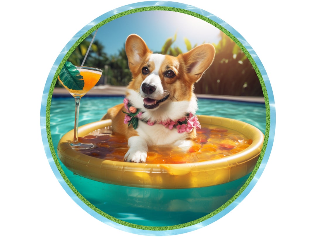 Corgi Relaxing at the Pool With Tropical Drink Metal Wreath Sign ...