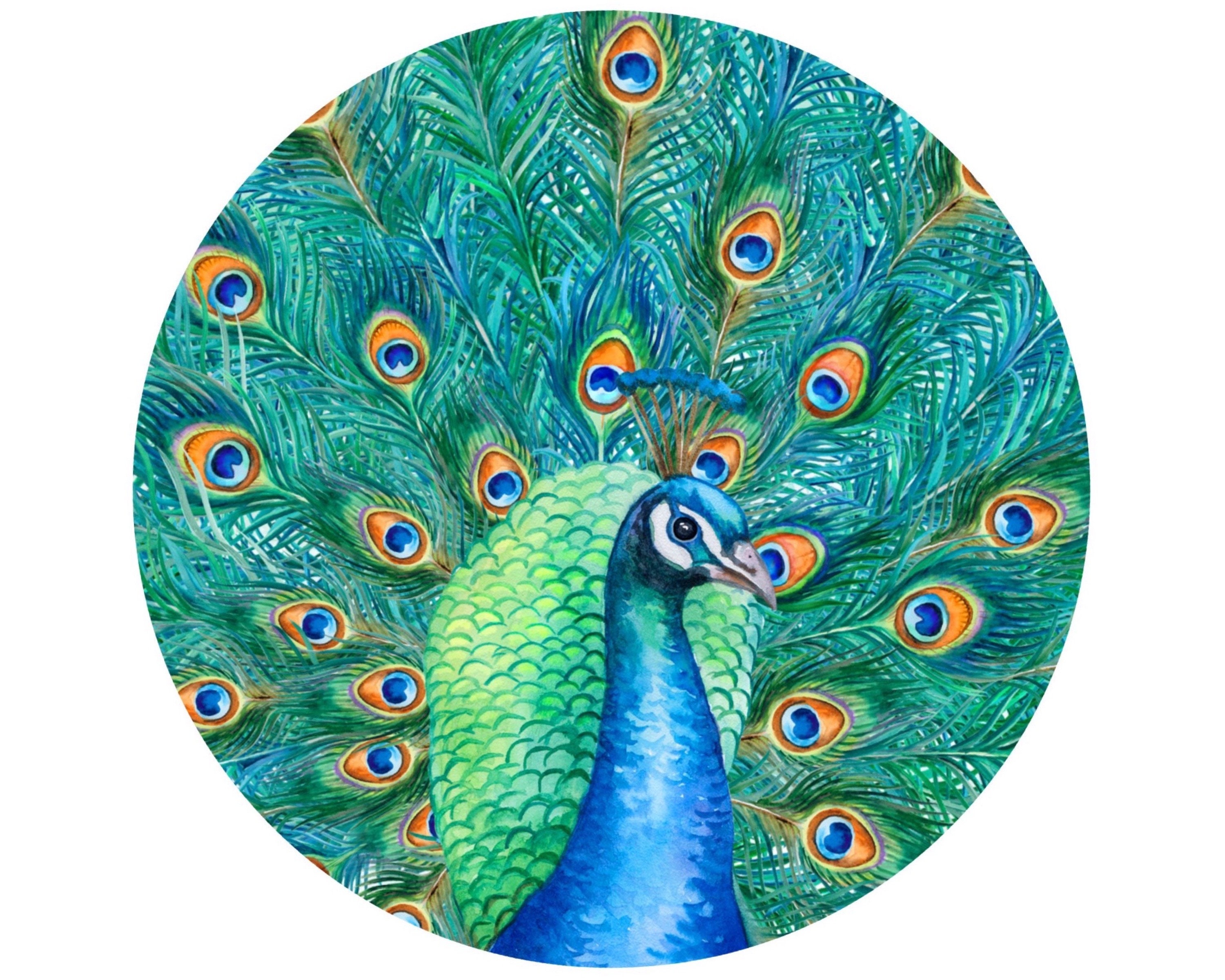 Peacock Wreath Sign Peacock Front Door Sign Peacock Wreath - Etsy