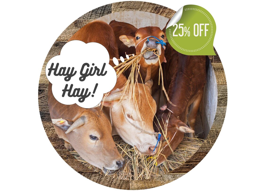 Hay Girl Hay Cow Sign, Cows Eating Straw Farmhouse Sign, Life on the ...